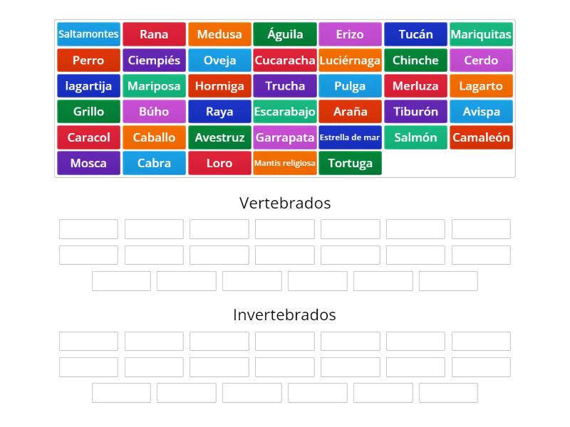 Clasificación de vertebrados e invertebrados - Ordenar por grupo