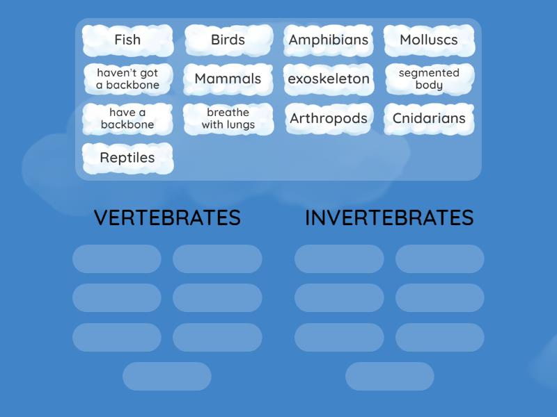 NC3 U2_Vertebrates and invertebrates - Group sort