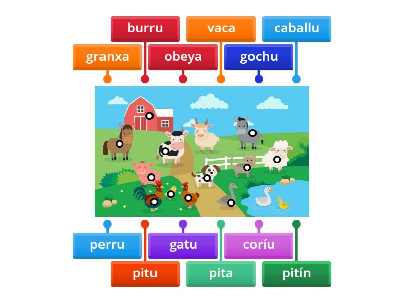 Animales de la granxa - Labelled diagram