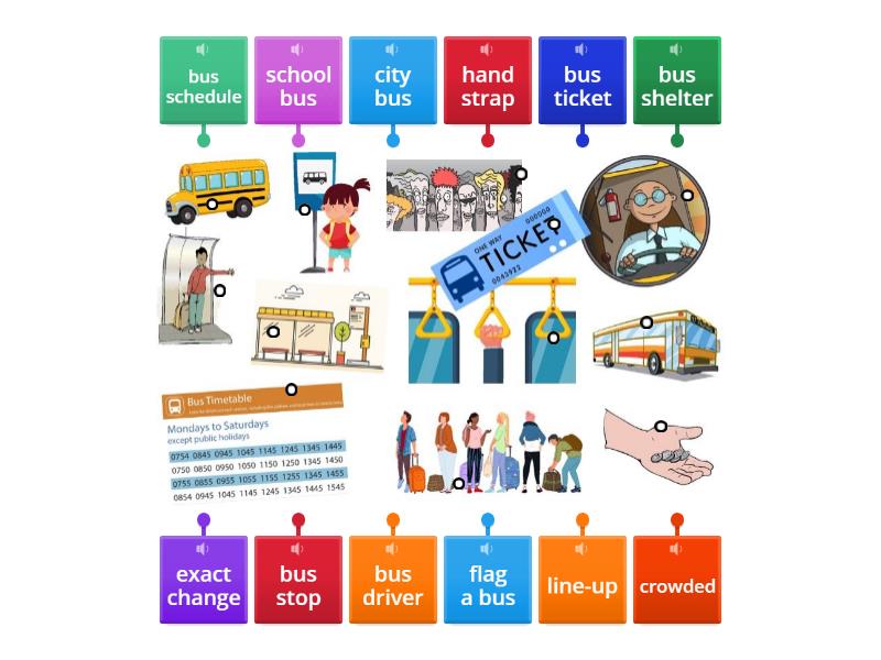 Bus Travel Vocabulary - Labelled diagram
