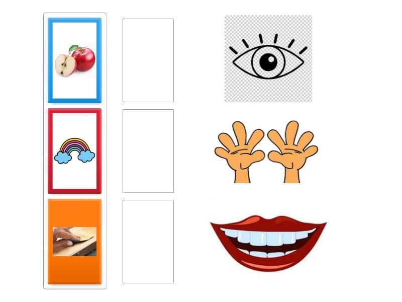 Los sentidos - Match up