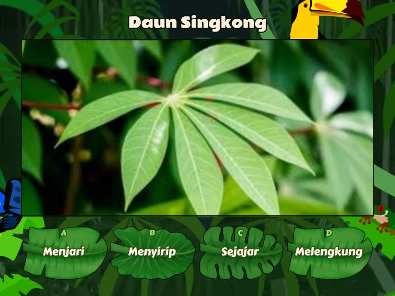 Jenis-Jenis Tulang Daun - Questionário