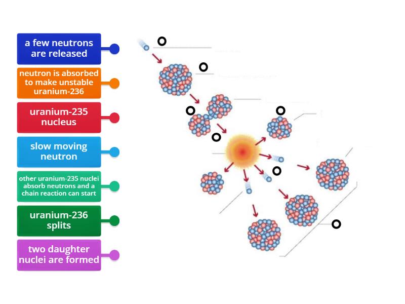 Fission Labelling Activity - Labelled diagram