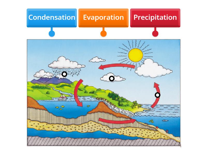Water Cycle Diagram - Labelled diagram