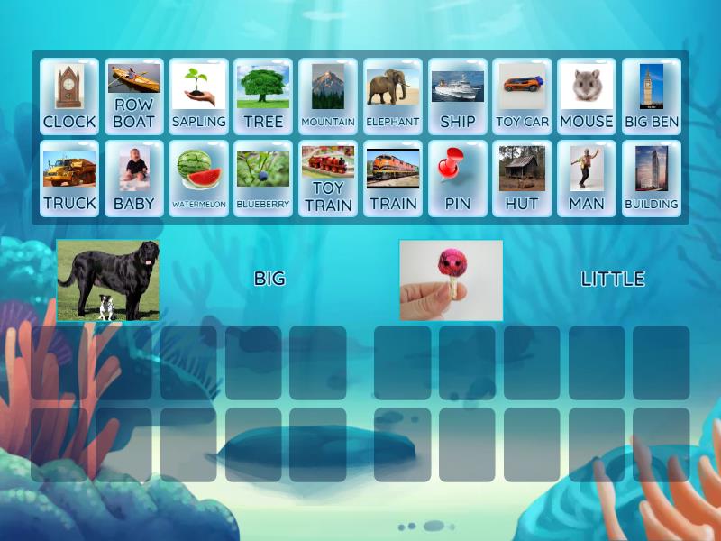 Basic Opposites - Group sort