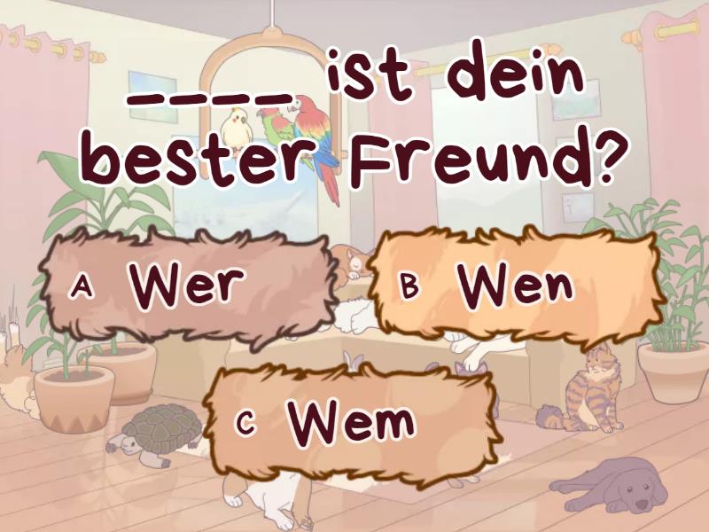 Wer? Wen? Wem? - Cuestionario