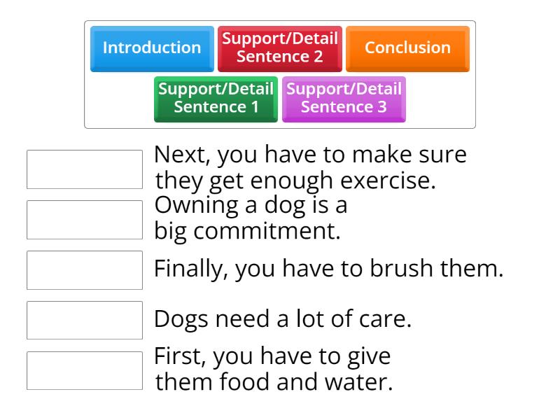 Owning a Dog: Paragraph Sequencing - Match up