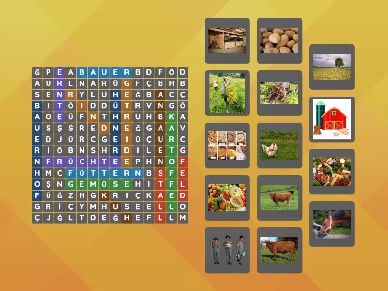 Linie B1- Wortschatz zum Thema Bauernhof - Wordsearch