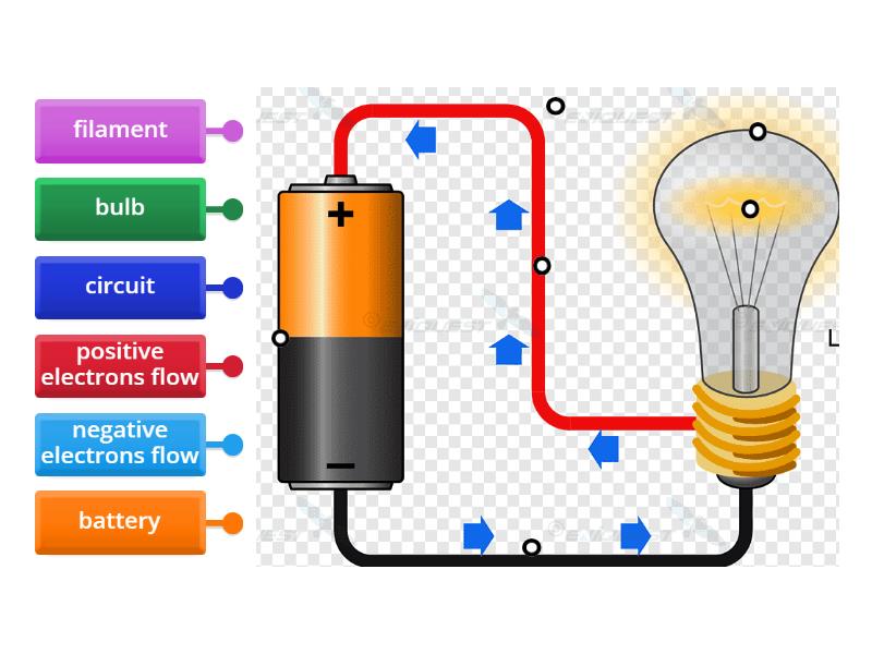 How The Bulb Works - Labelled diagram