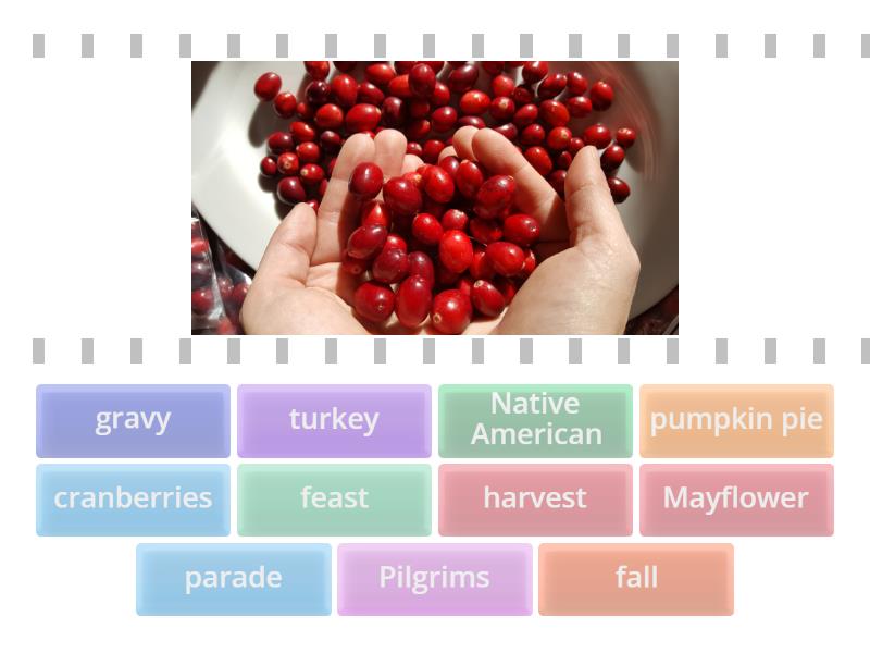 Thanksgiving Vocabulary - Find the match