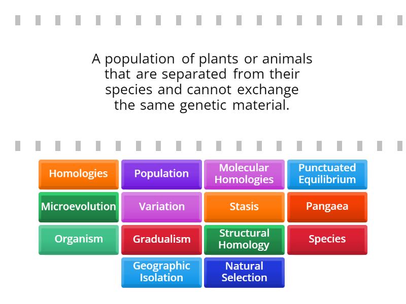 Evidence of Common Ancestry - Find the match