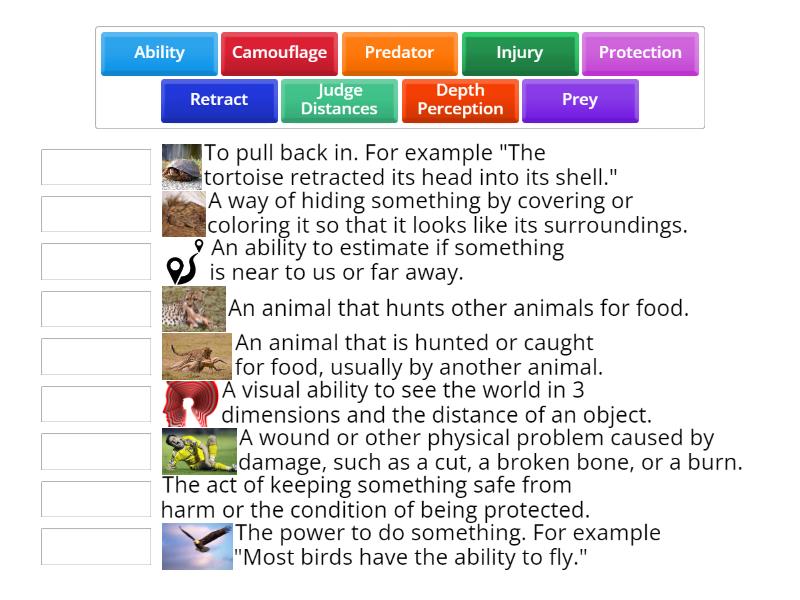 Adaptation - Match up