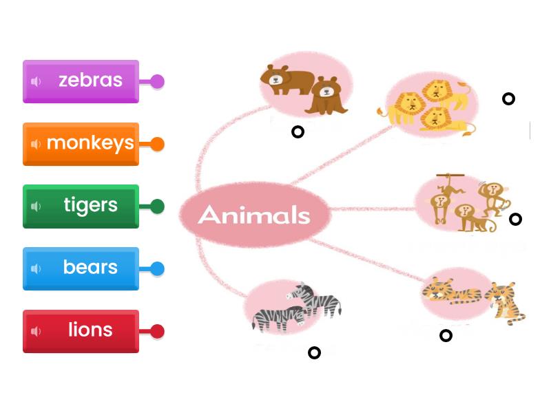 animals - Labelled diagram