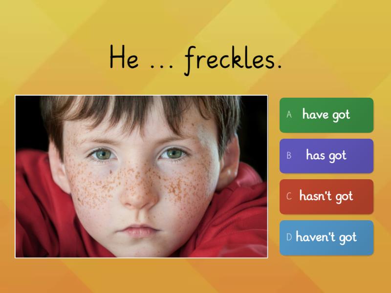 HAVE GOT/HAS GOT - Cuestionario