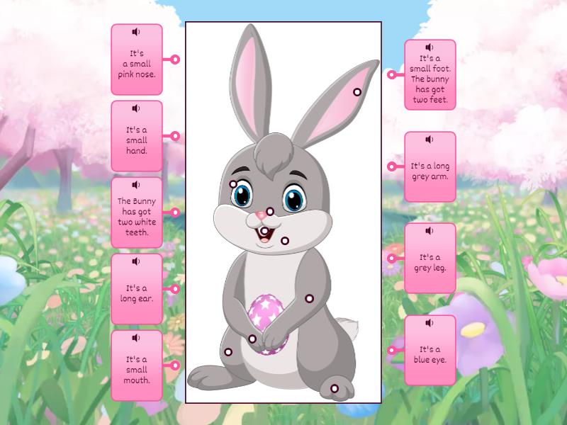Easter Bunny - Labelled diagram