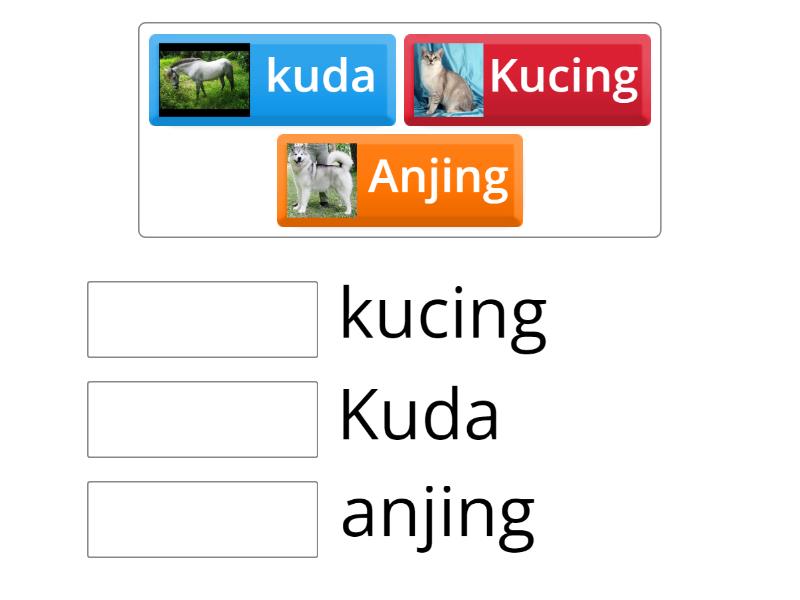 Gambar apakah ini? - Match up