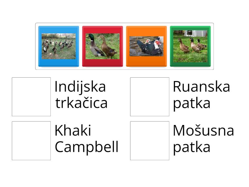 Pasmine pataka - Match up