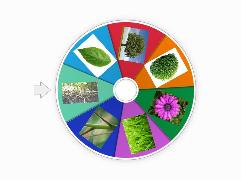 Plants - Random wheel