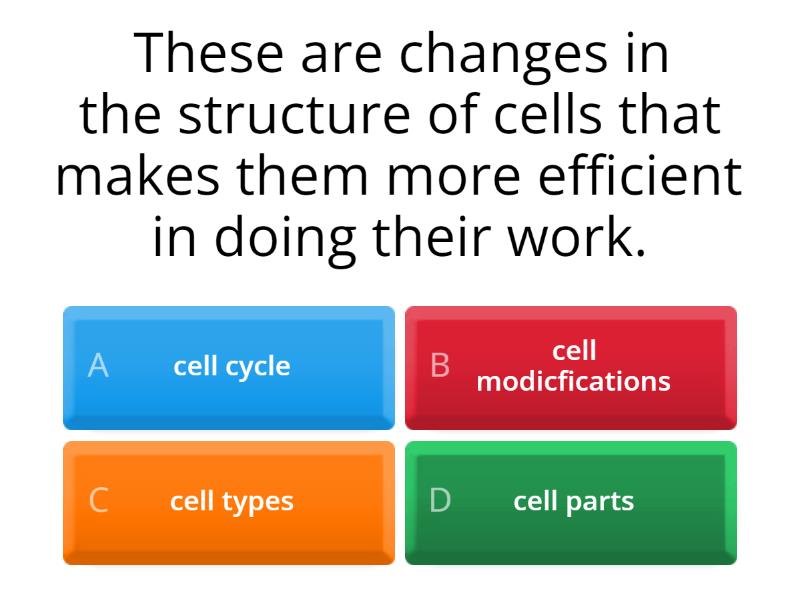 Cell Modifications - Quiz