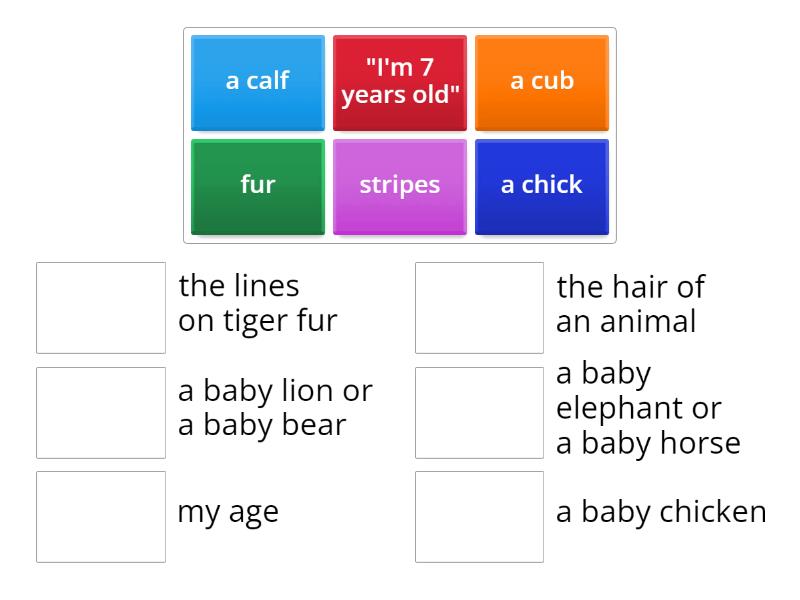 Vinschool - Science - Unit 4 - Match up