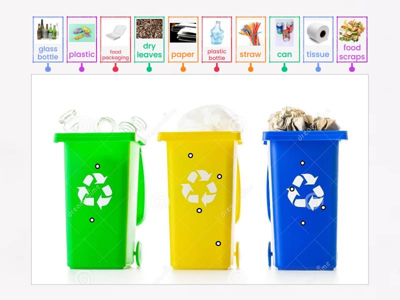 Types of bin - Labelled diagram