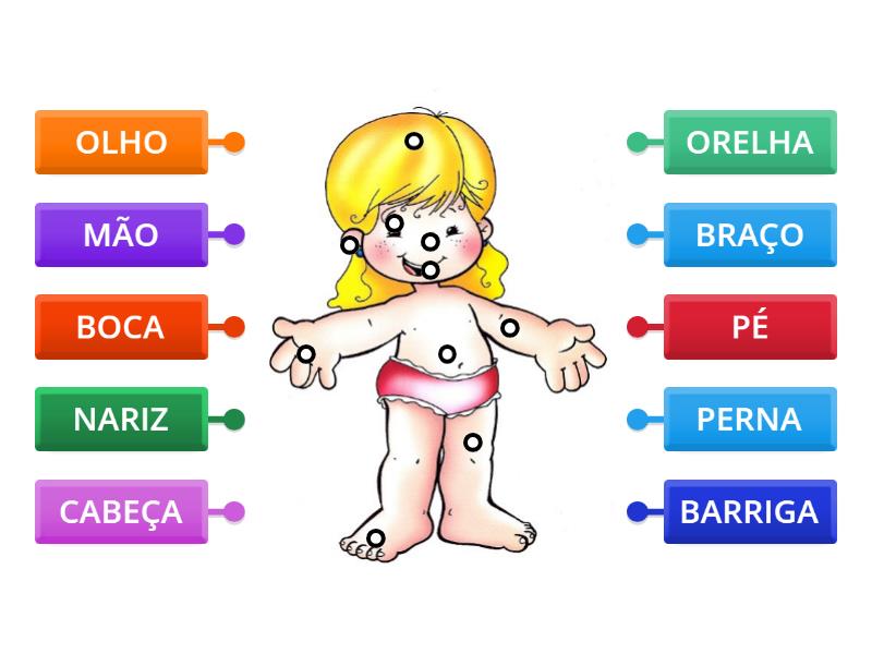 PARTES DO CORPO HUMANO - LIGAR - Labelled diagram