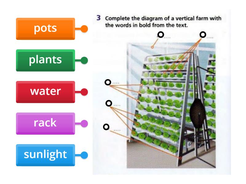 EO4 UNIT 4 Technology Vertical farming - Labelled diagram