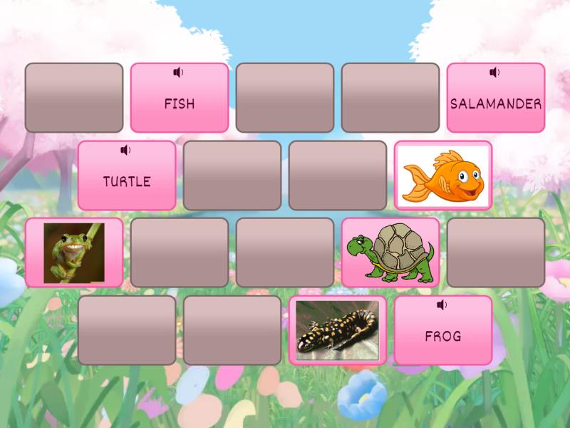 What Lives in the Pond - Matching pairs