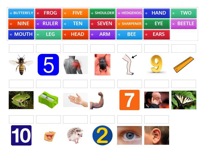 VOCABULARY - Match up