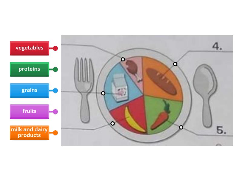 Food Groups - Labelled diagram