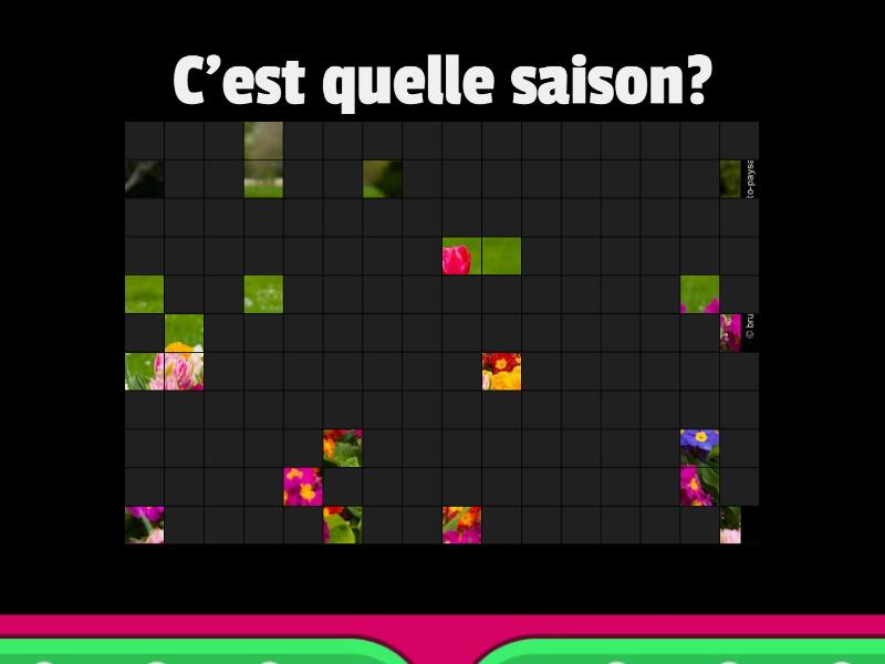 Les quatres saisons. - Image quiz