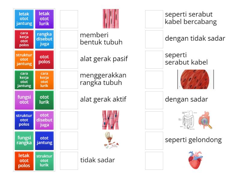 IPAS OTOT - Match up
