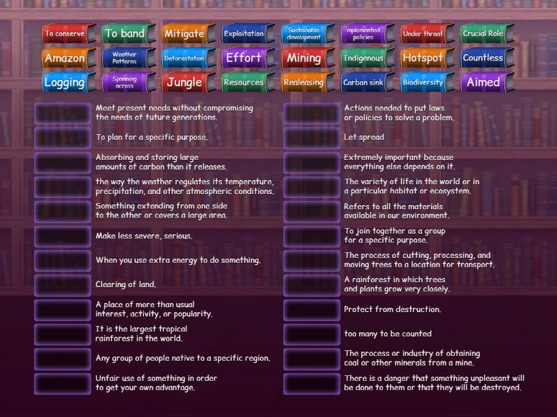 Amazon Jungle vocabulary - Match up