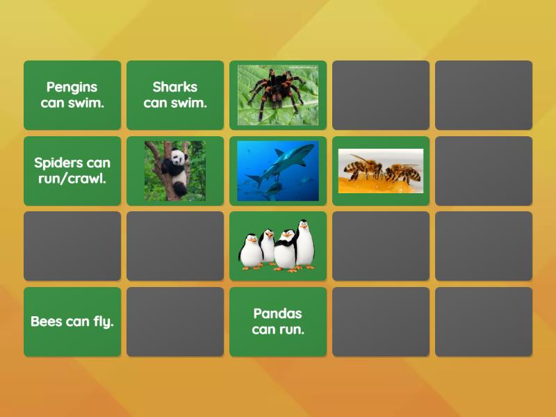 F13 class 1_Animals & Action matching - Matching pairs