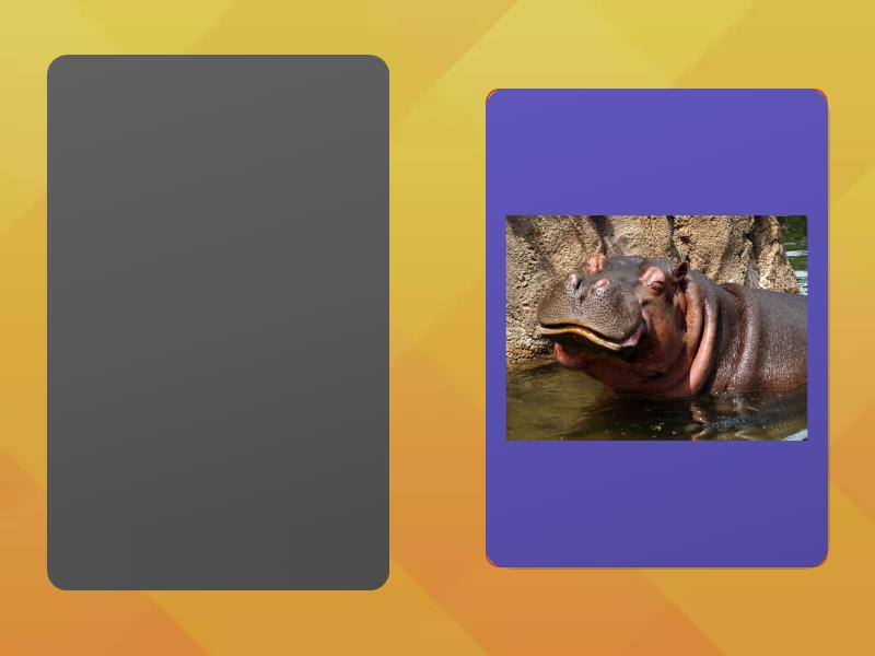 Animals - Speaking cards