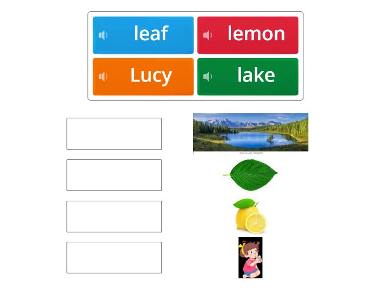 Ôn tập từ mới: Lucy, lake, leaf, lemon - Match up