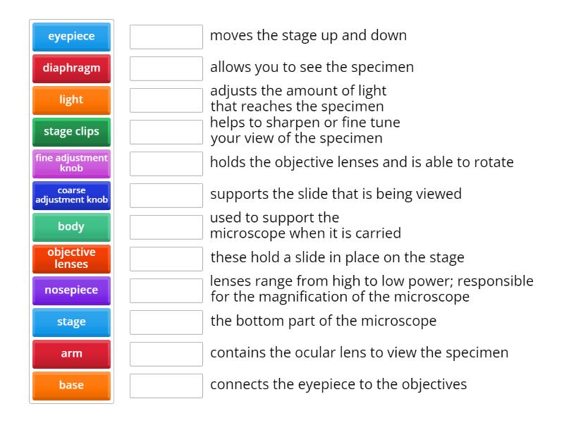 Microscope - Match up