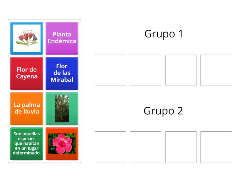 Actividad: Relaciona - Group sort