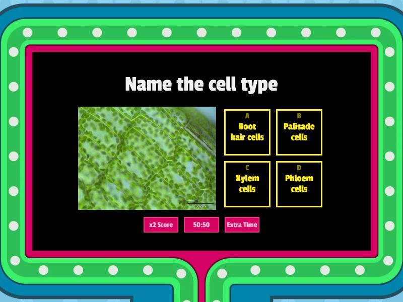 Specialised plant cells - Gameshow quiz