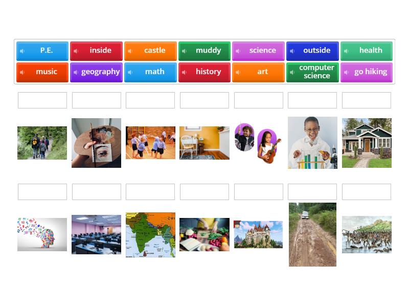 Beehive 4 unit 3 (1,2) - Match up