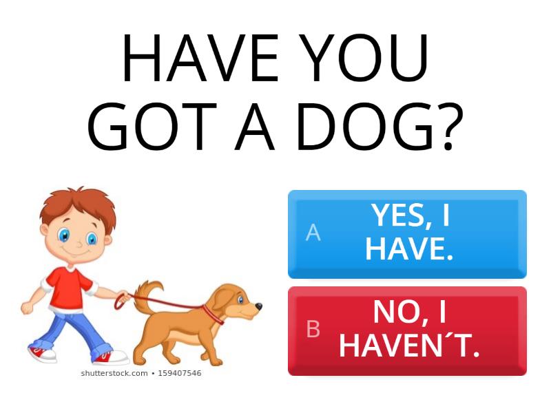 KID'S BOX 1. Unit 6. Yes I have / No I haven't. - Quiz