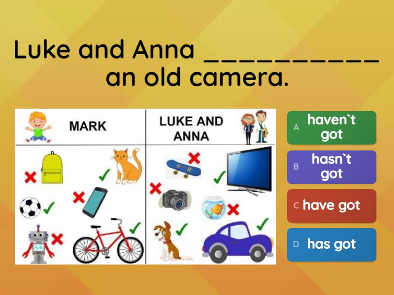 TT2 unit 6 have got/has got - Quiz