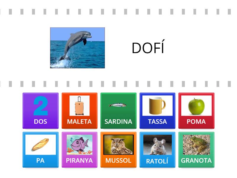 Joc de rimes - Find the match