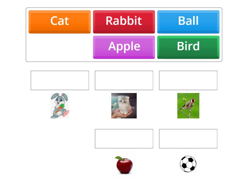 Connect words with pictures - Match up