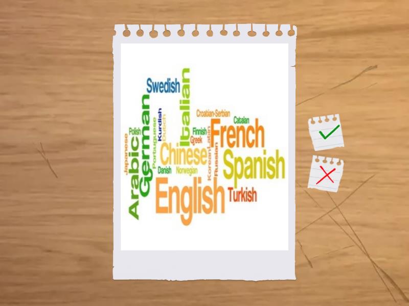 "Maria Celebrates Brazil" Vocabulary Lesson 1 - Flash cards