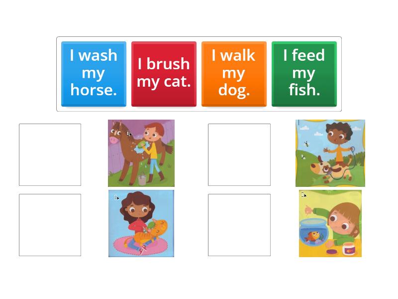 Kids box1/look after pets - Match up
