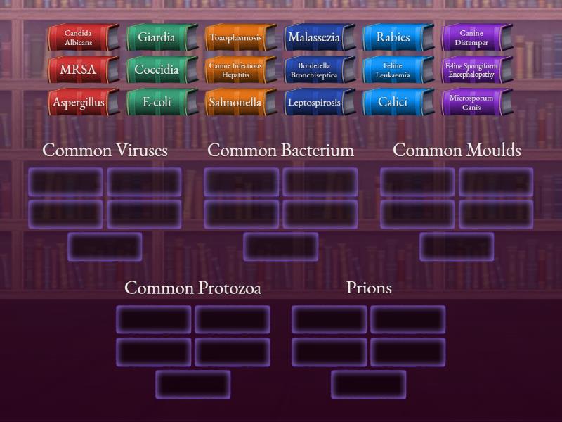 Common Pathogens Group Match - Group sort