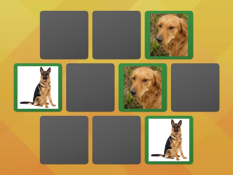 dogs - Matching pairs