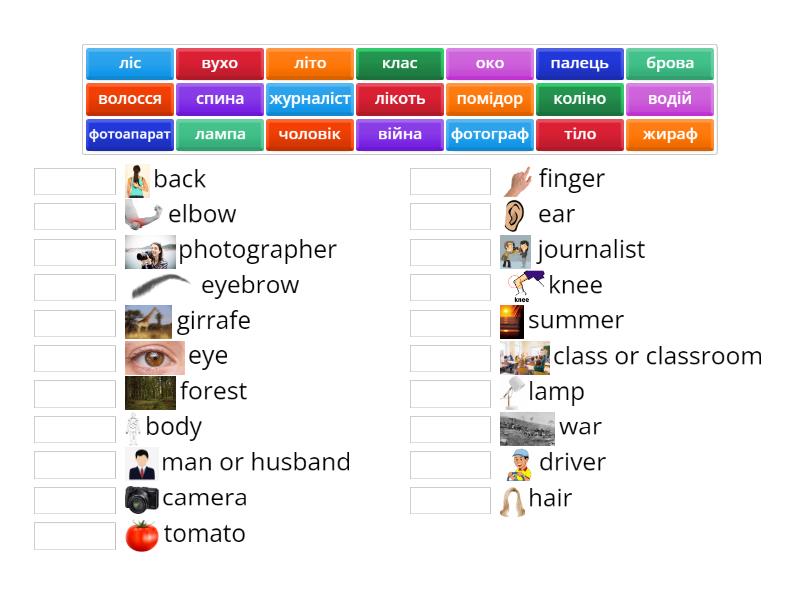 Simple vocabulary - Match up