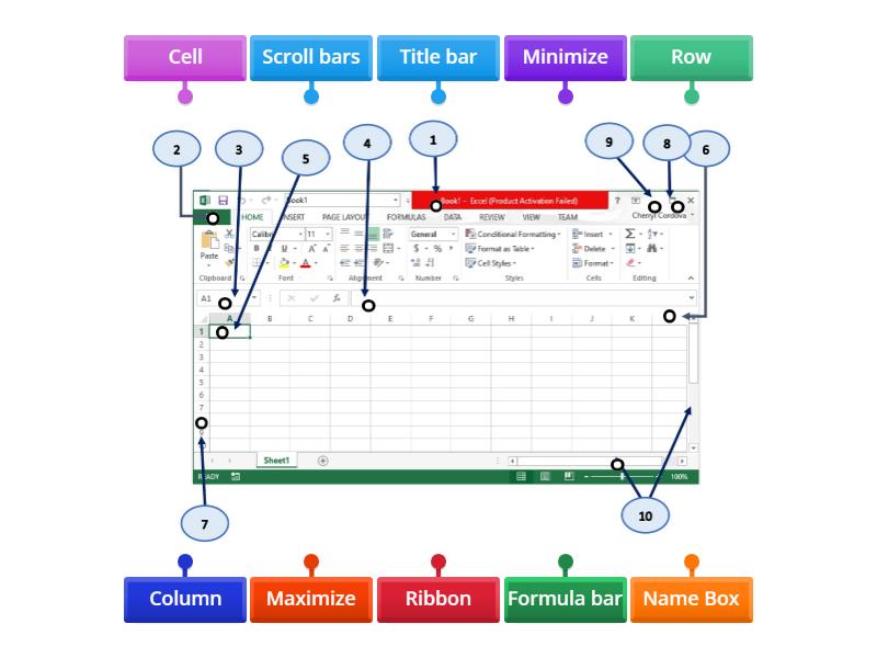 MS Excel activity - Labelled diagram